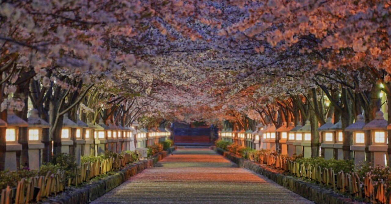 こんな｜Master Kevin