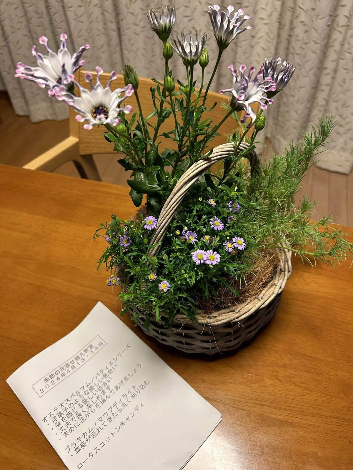 禁酒2年と213日…もらった寄せ植えがステキ！ 🌸(^ω^)｜rira_koro