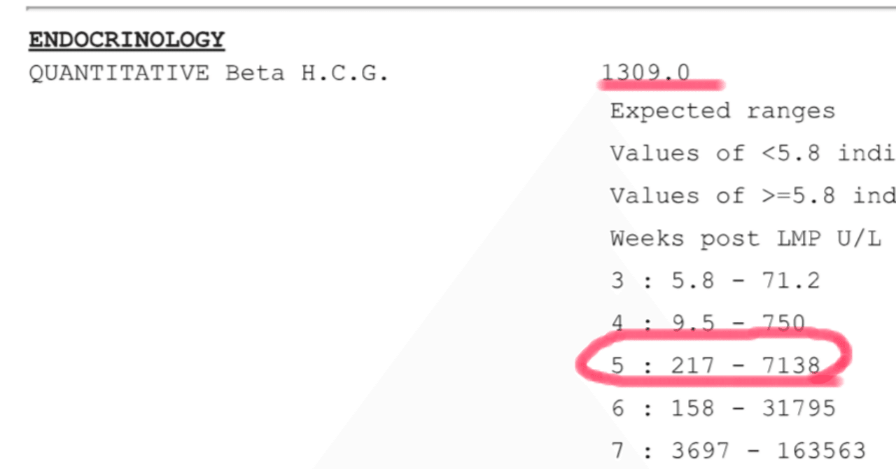 移植後Day 14：hCG血液検査、子宮外妊娠の不安｜不妊治療からの妊婦@44歳