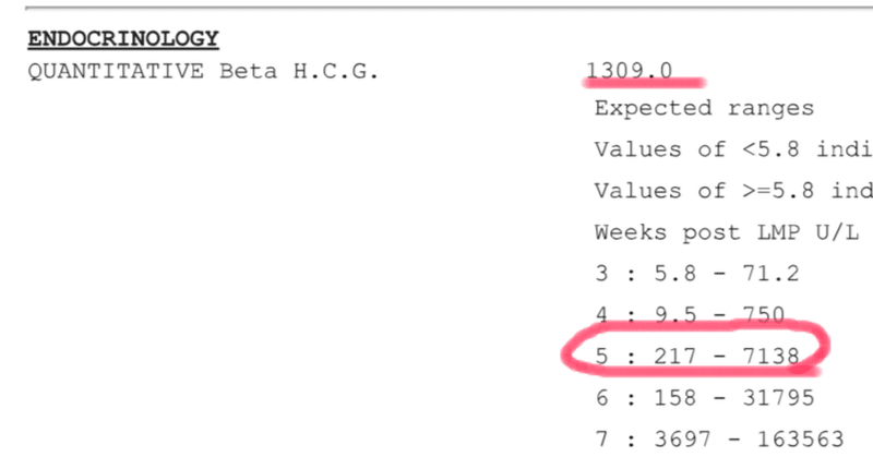 移植後Day 14：hCG血液検査、子宮外妊娠の不安｜不妊治療からの妊婦@44歳