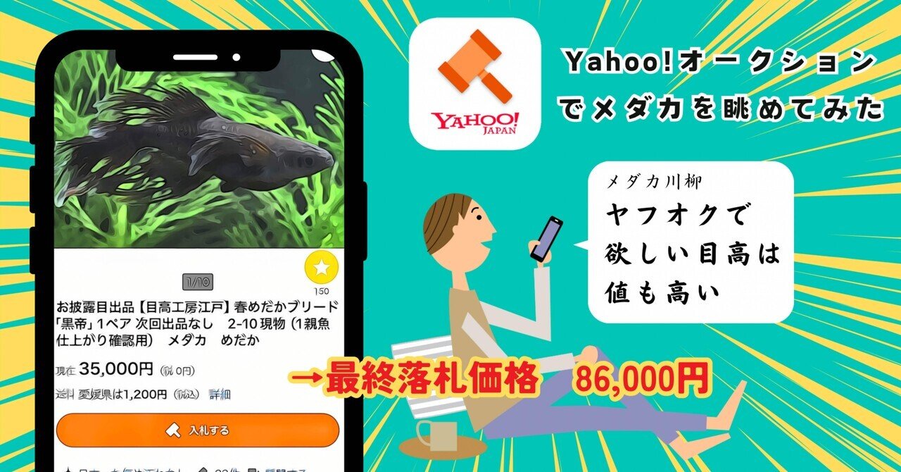 Yahoo!オークションでメダカを眺めてみた｜MKD.023