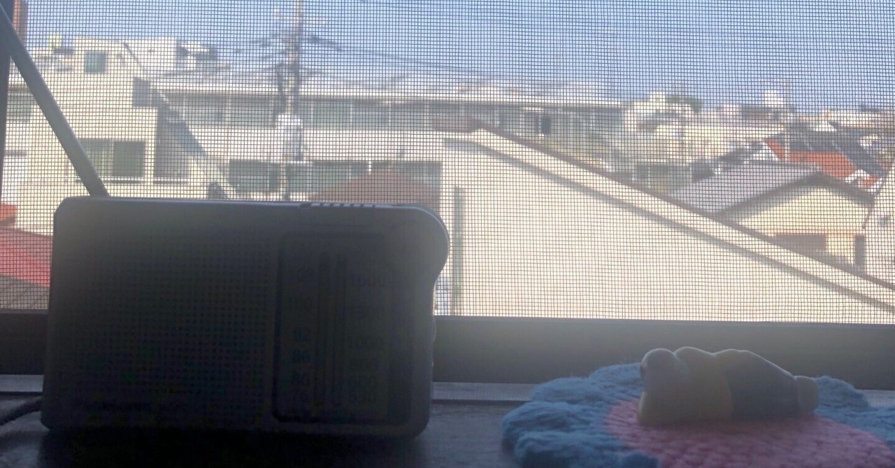 密かにファンなんです｜catcatcat