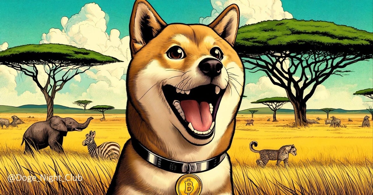 Dogecoin Phenomenon: From Meme to Market Sensation｜doge night club