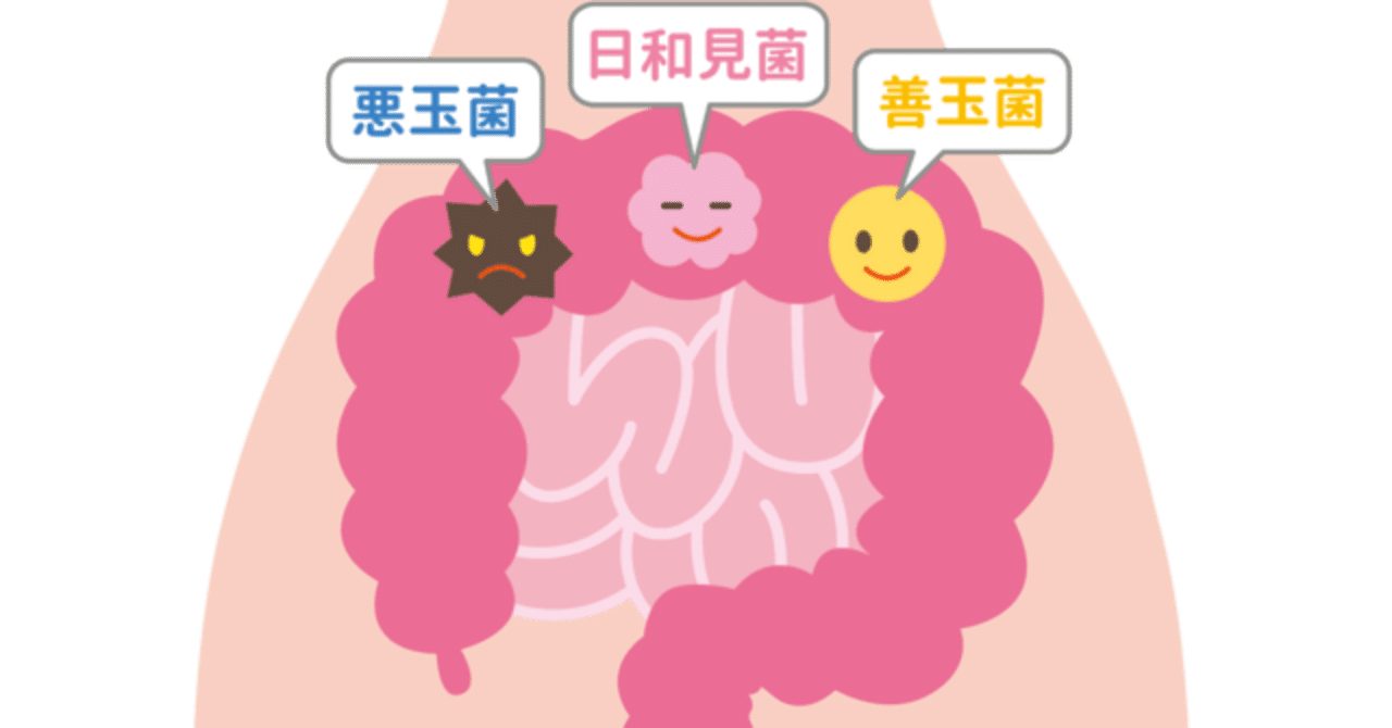 ESSENCE_HIROMU【voice training&Healthy lifeサポート】｜note