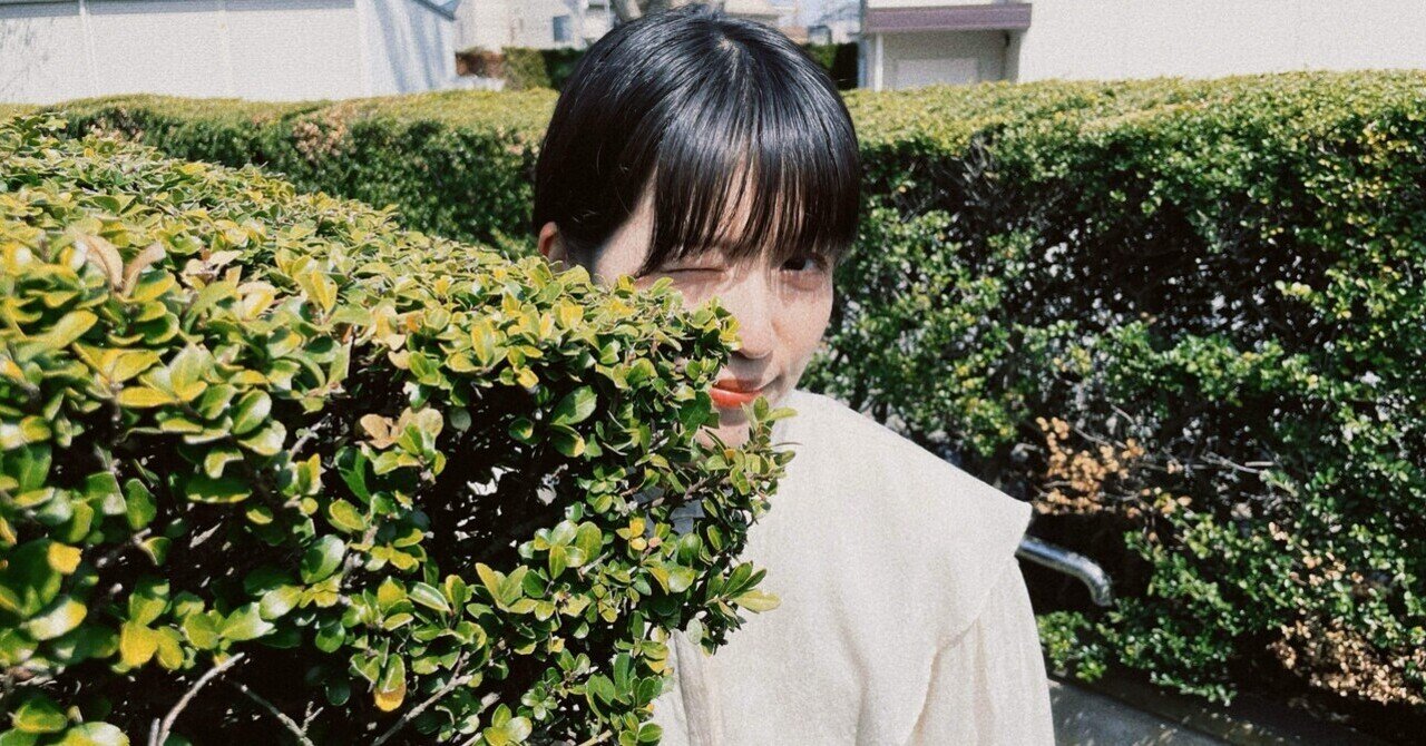 藤村聖子 Shoko Fujimura｜note