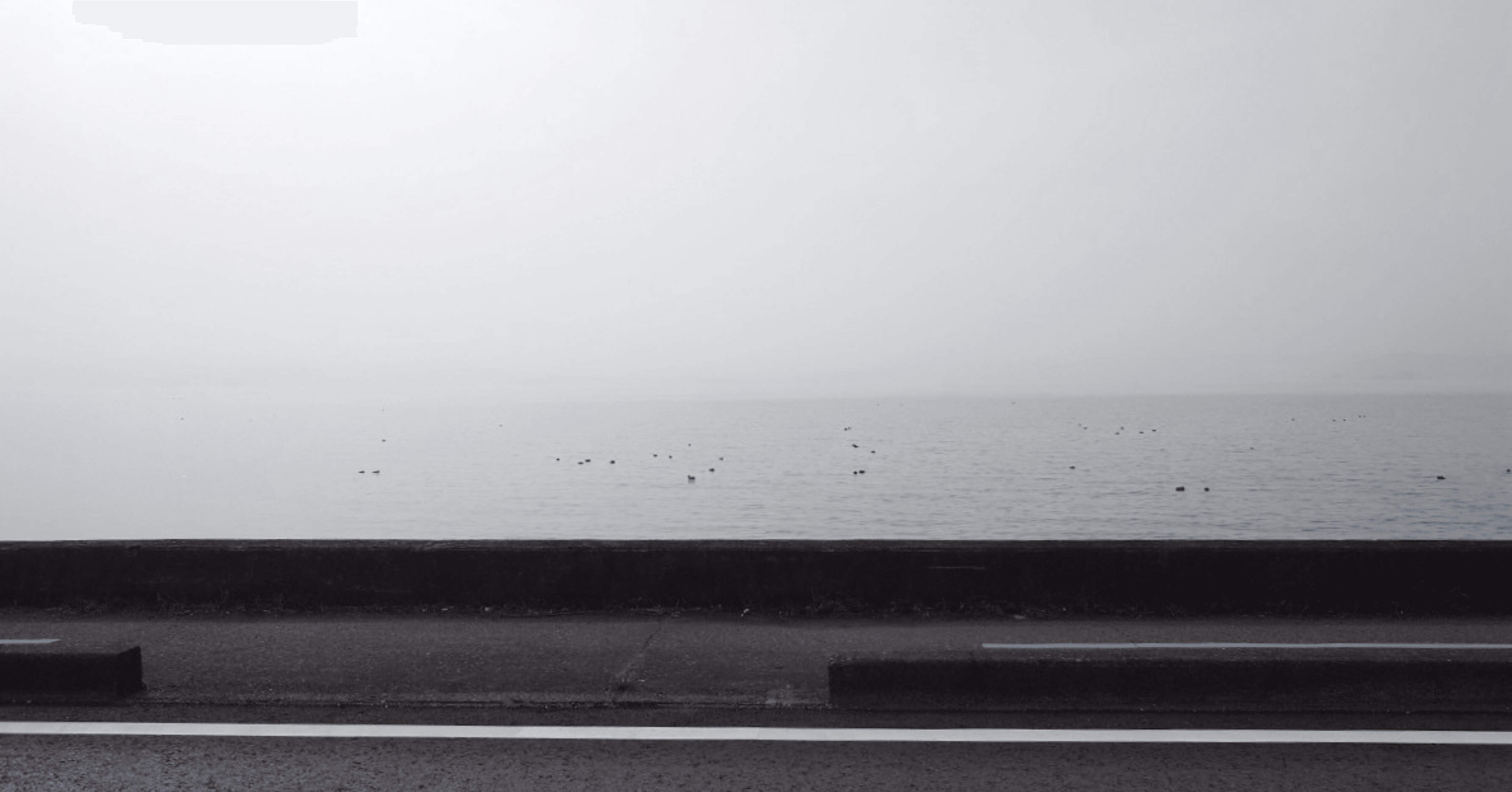 itsuki shibata｜note