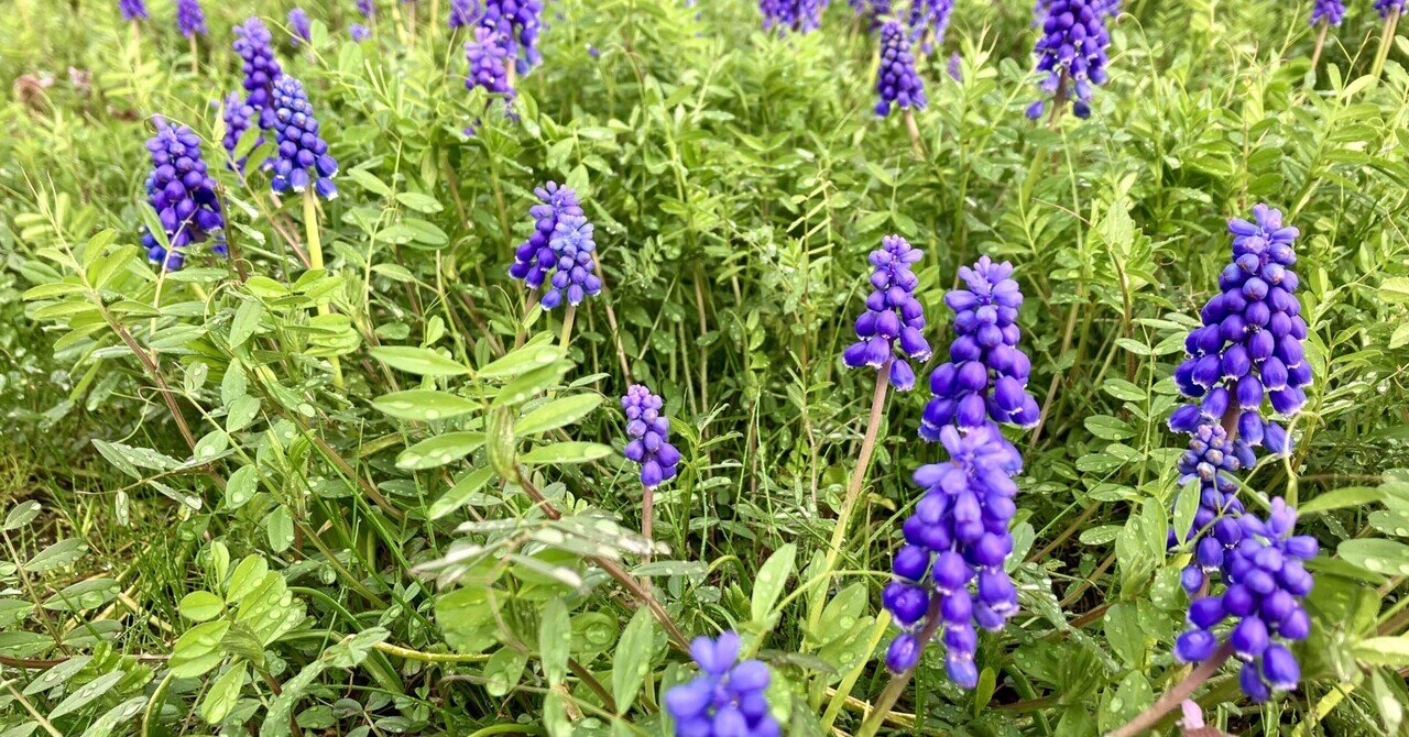 それもまたそれ｜Shiho