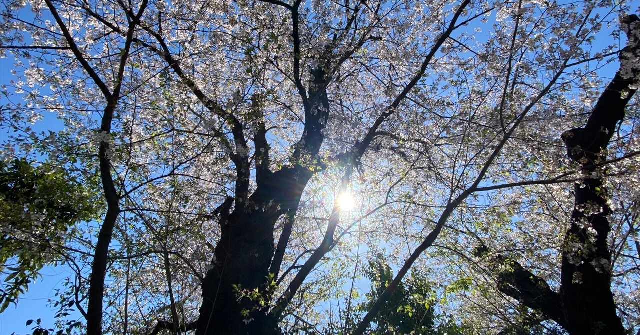 2024年3月講話｜JUMIKO