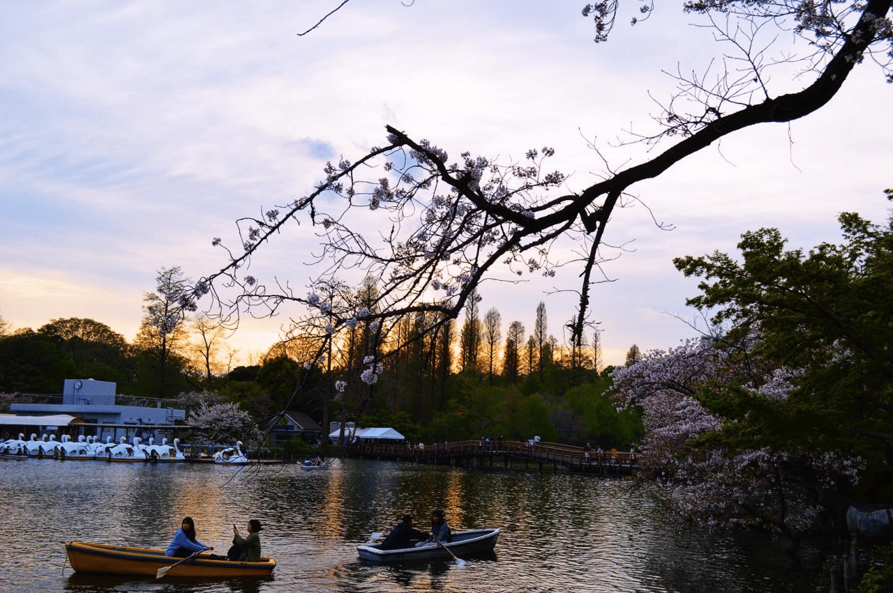 Apr 15 2024. Inherent.｜奥山 奏 Kanade Okuyama