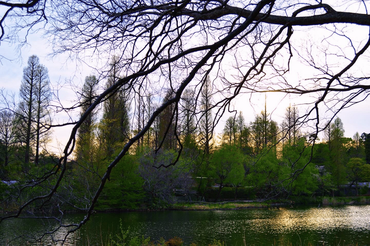 Apr 15 2024. Inherent.｜奥山 奏 Kanade Okuyama