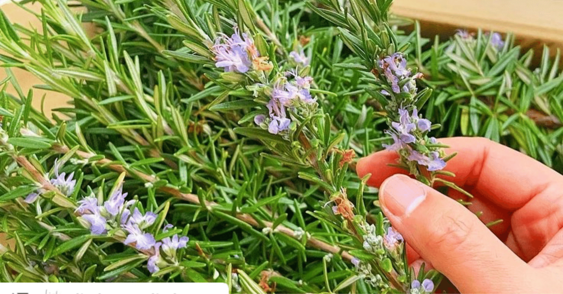 石井亜矢子（ISHII AYAKO）｜note