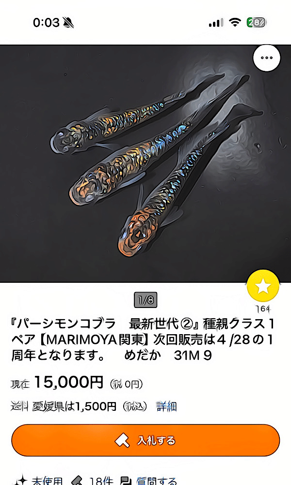 Yahoo!オークションでメダカを眺めてみた｜MKD.023