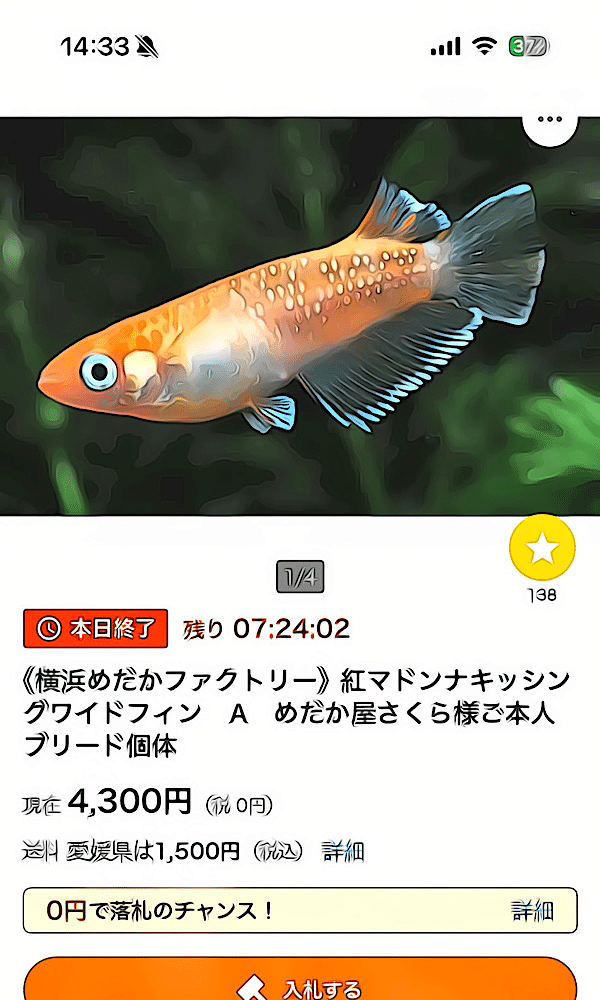 Yahoo!オークションでメダカを眺めてみた｜MKD.023