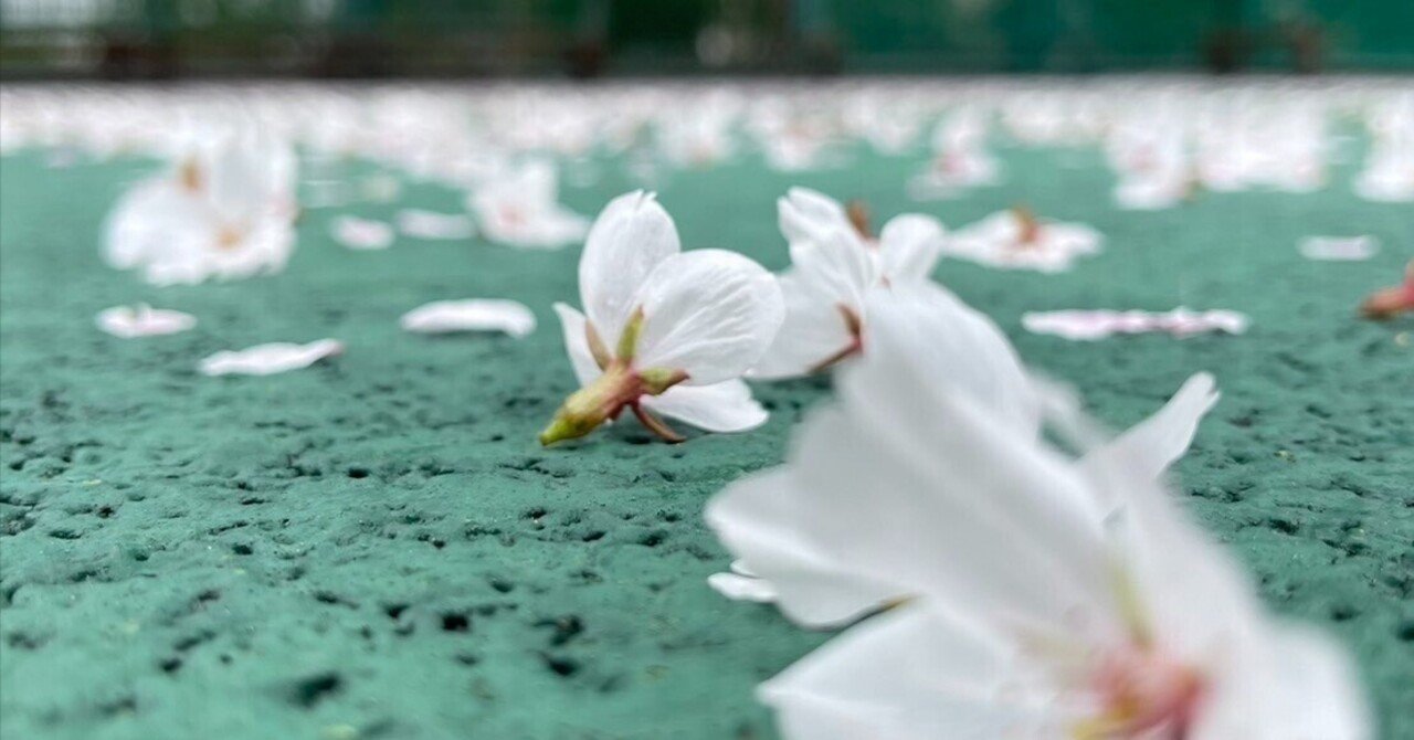 【膵臓癌】再発の可能性｜Shuri_0220