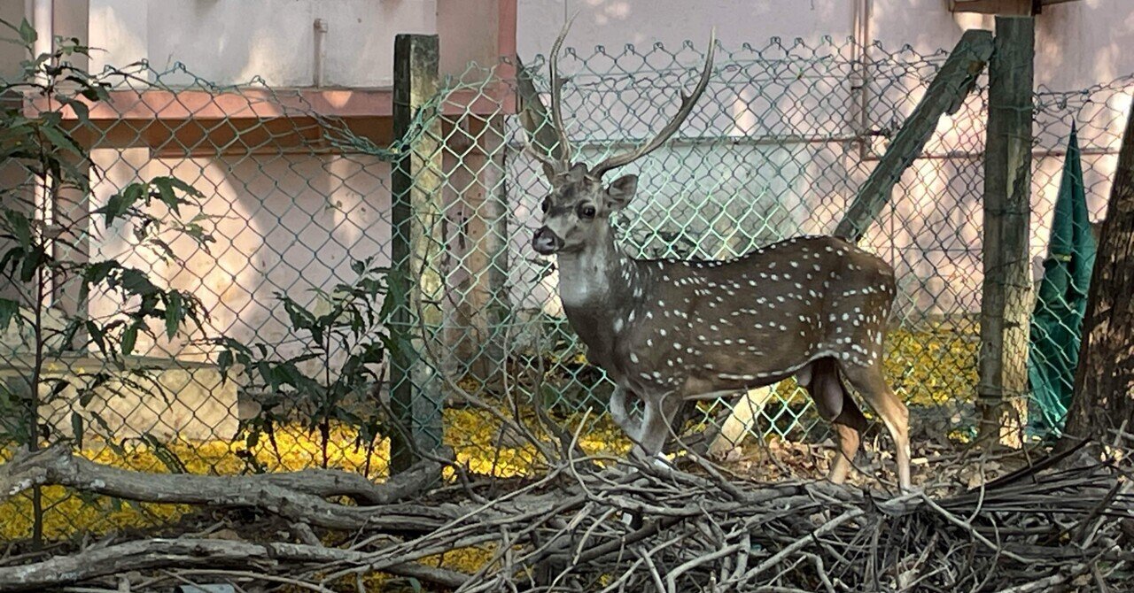 IITM(インド工科大学マドラス校)｜Kiyofumi