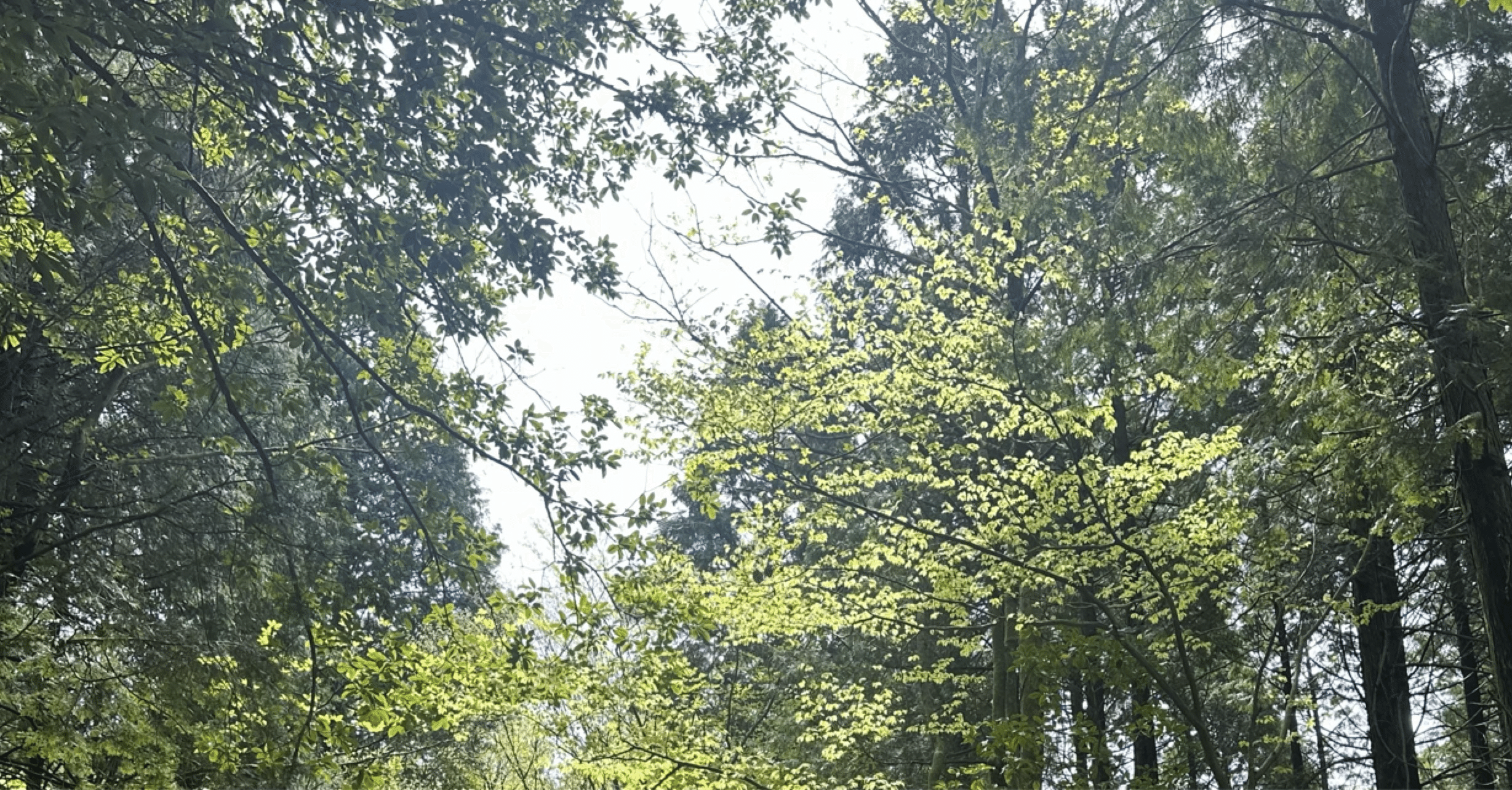 akko@移住生活｜note