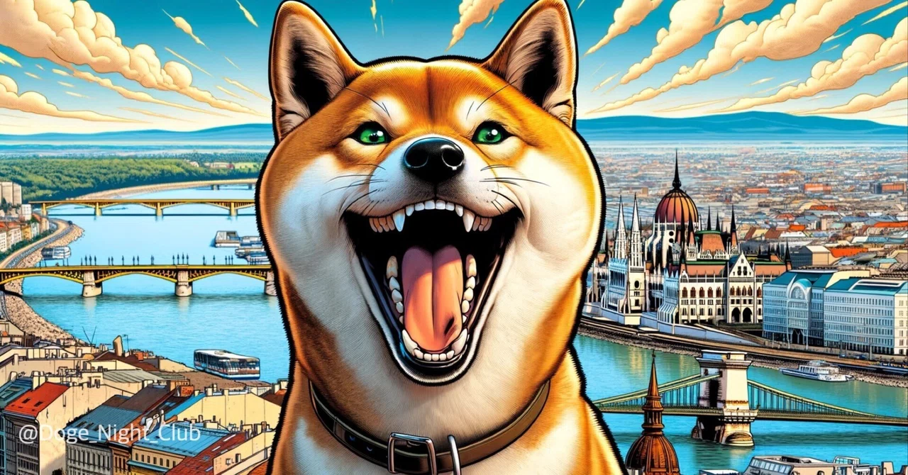 Forecasting DOGE: What Recent On-Chain Data Indicates｜doge night club