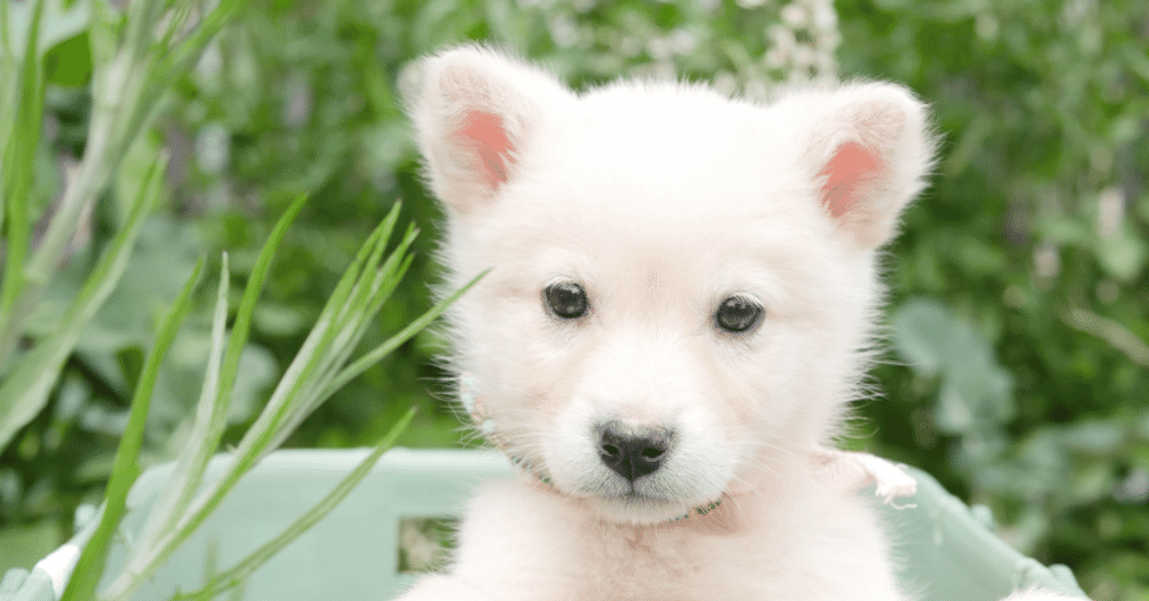 なんかいやだ｜Imatomi Aiko