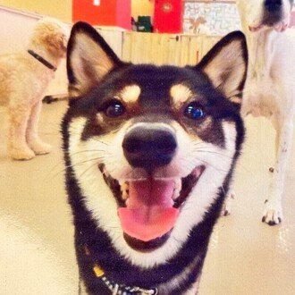 Shinya Kataoka｜note