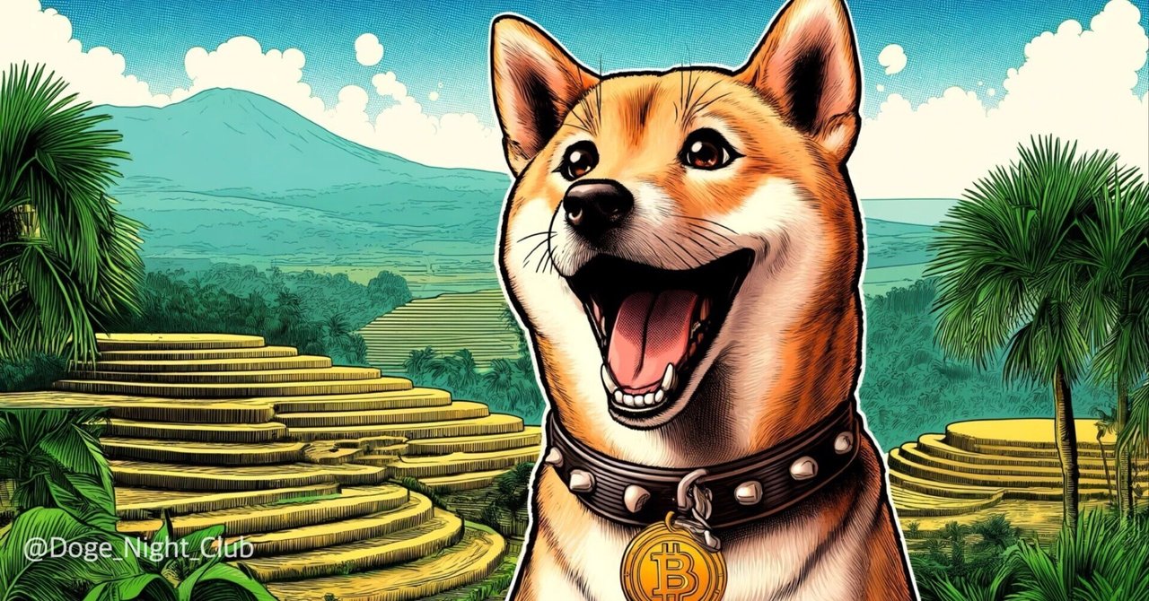 Is It Too Late to Invest in Dogecoin? A 2024 Perspective｜doge night club