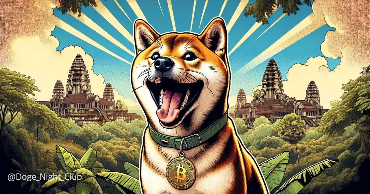 From $0.01 to $0.73: Dogecoin’s Explosive Year in Review｜doge night club