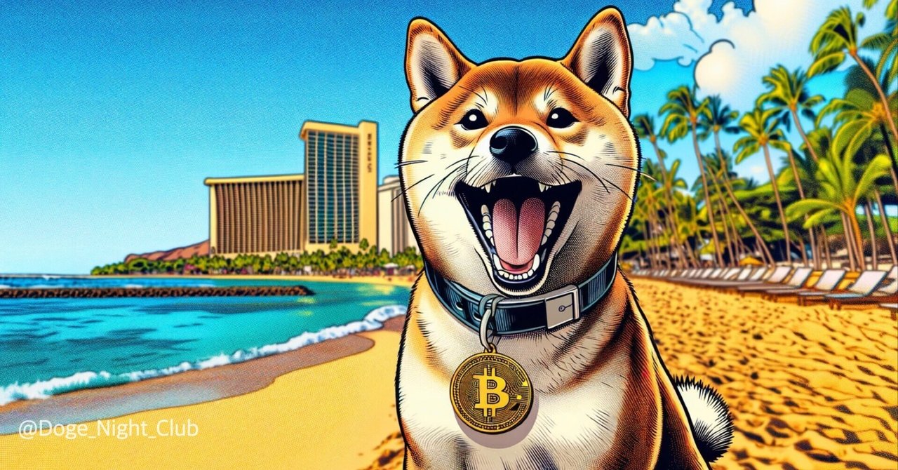 The Doge Phenomenon: What Drives the Price of Dogecoin?｜doge night club