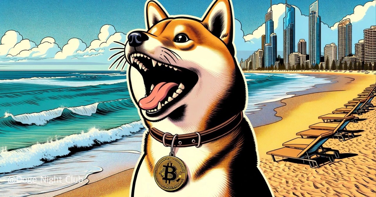 Dogecoin's Rocket Ride: How It Hit a Record High in 2021｜doge night club