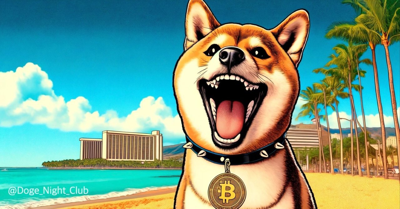 Dogecoin’s Stability Amidst Cryptocurrency Market Turbulence｜doge night ...