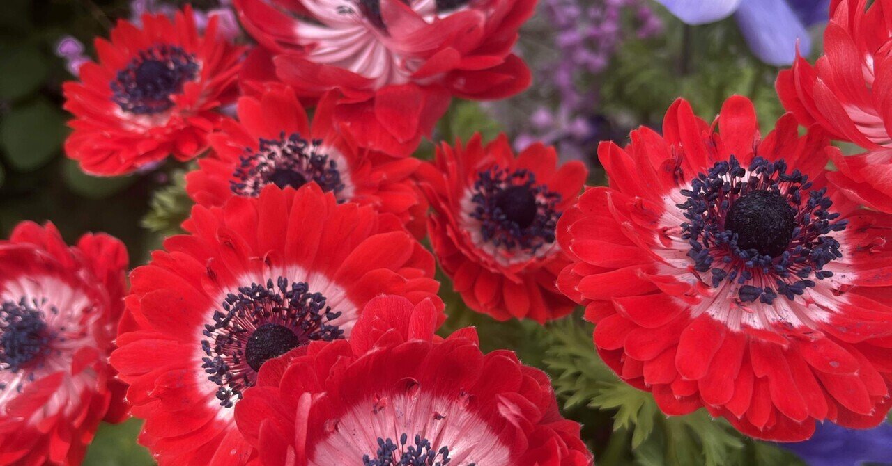 prankish/Tomo｜note