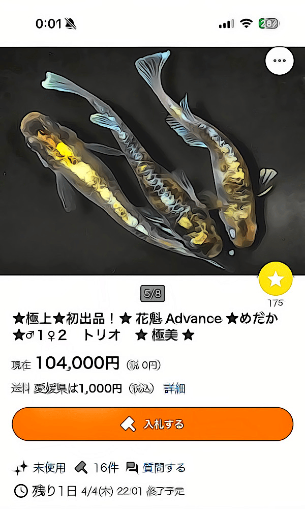 Yahoo!オークションでメダカを眺めてみた｜MKD.023