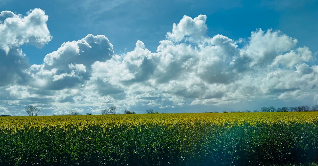 サンプリングにいってきました。｜Satoshi Kawaichi