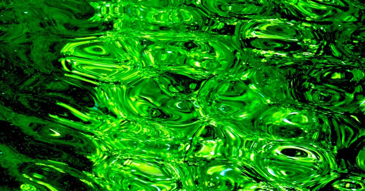 あそぶためにあそぶ｜KAZE