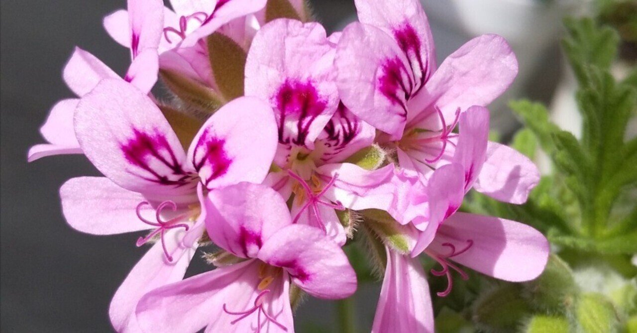 陰の時間は陰らしく、陽の時間は陽らしく｜Mi Yoga Yinside