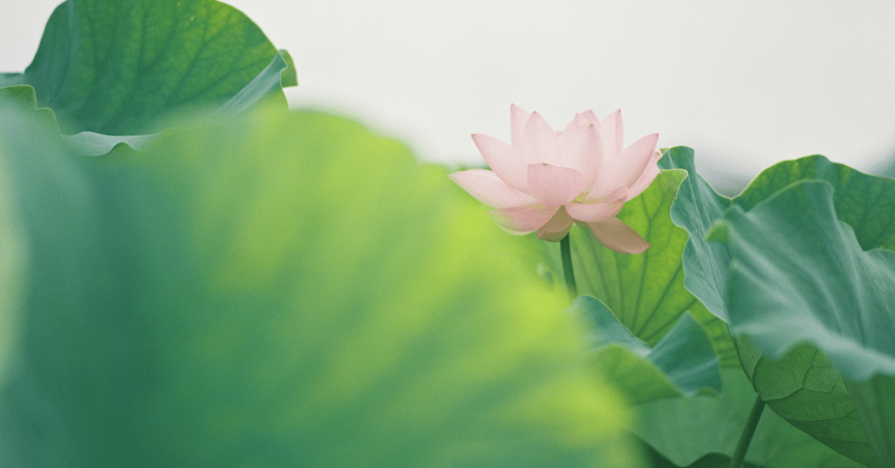 見つけてくれてありがとう｜okima.note