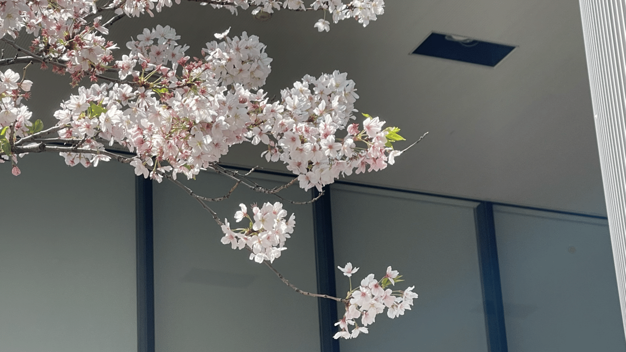 犬猫との暮らし｜carol_sunshine