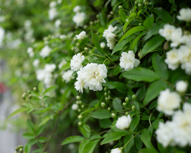 友人を撮影するような感覚で｜Tomoya Matsuyama