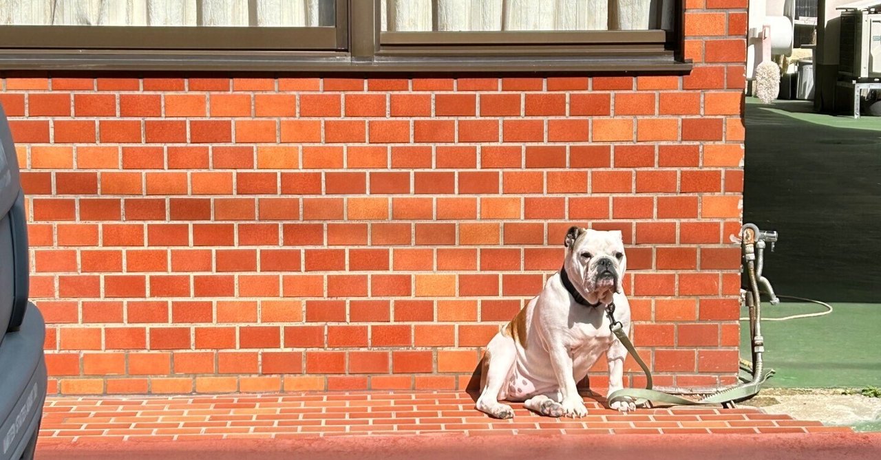 わがはいはだれである｜Satoshi