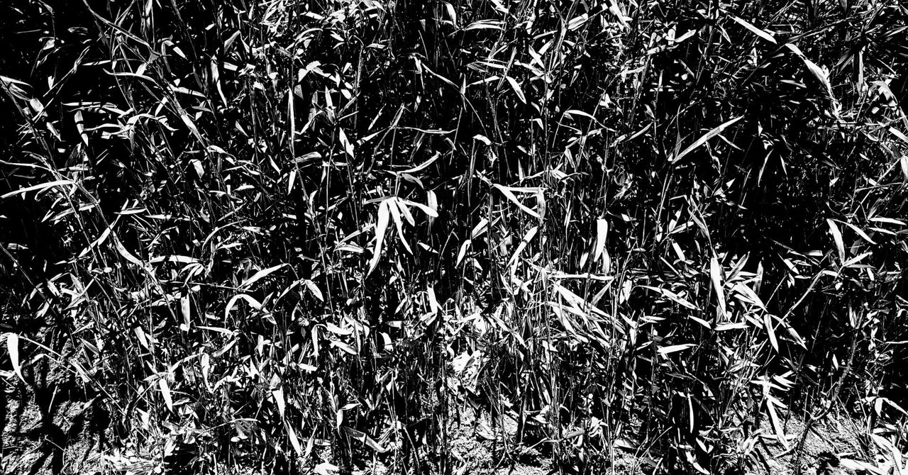 UNWIND&KOMOREBI｜note