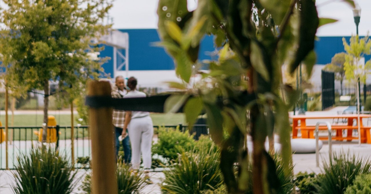 Morning walk in a foggy day｜helloryuji