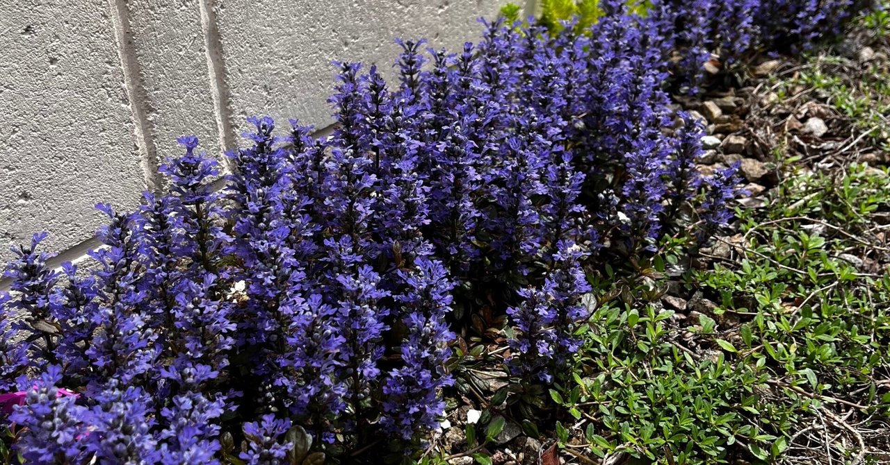 niwaijiri_ken｜note