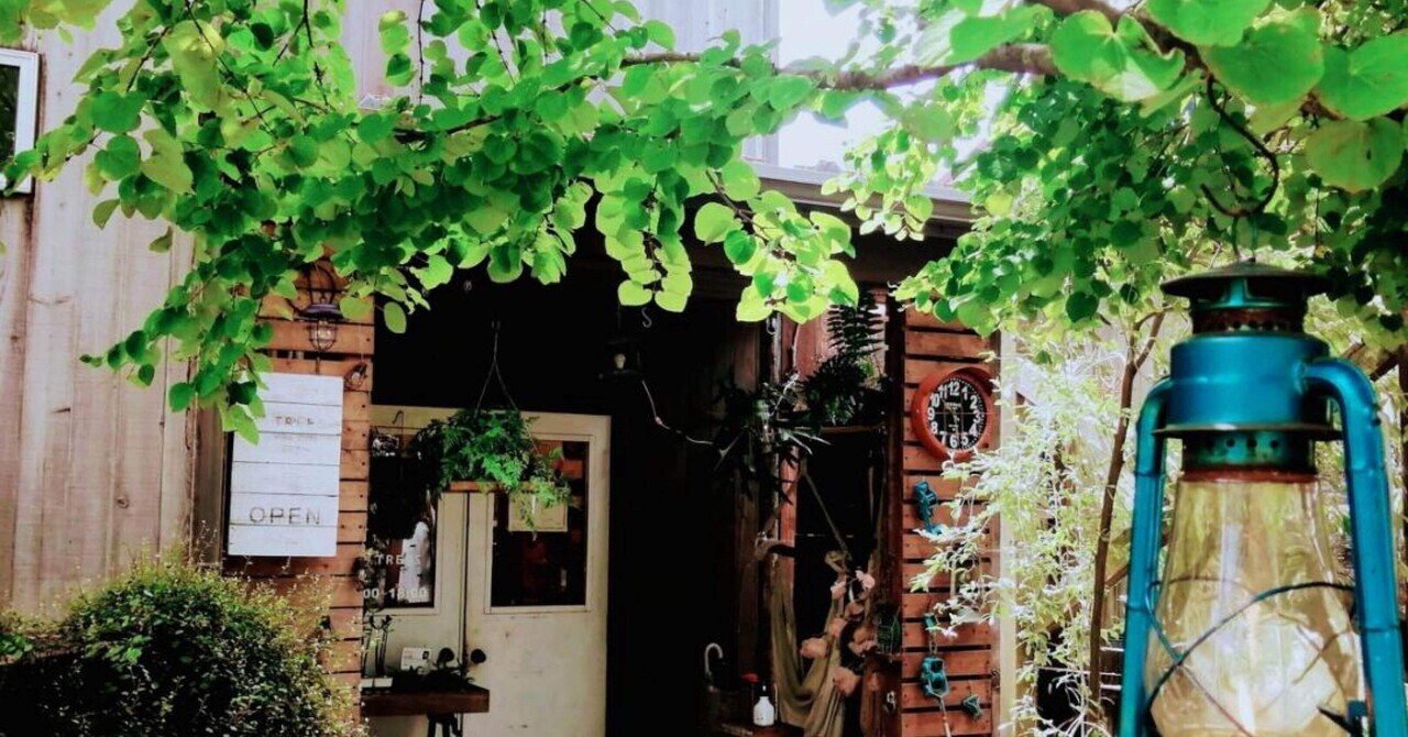 [8]TREES GENERAL STORE｜だんない