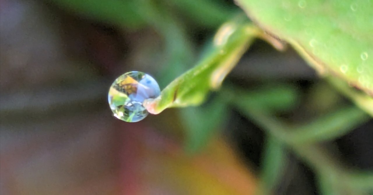 笑ったり泣いたりの動画｜ichiro70