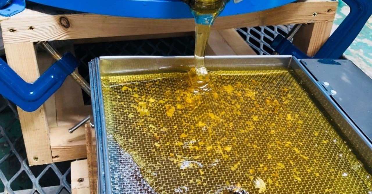 今日はハニイの日｜yabusan（823）｜note