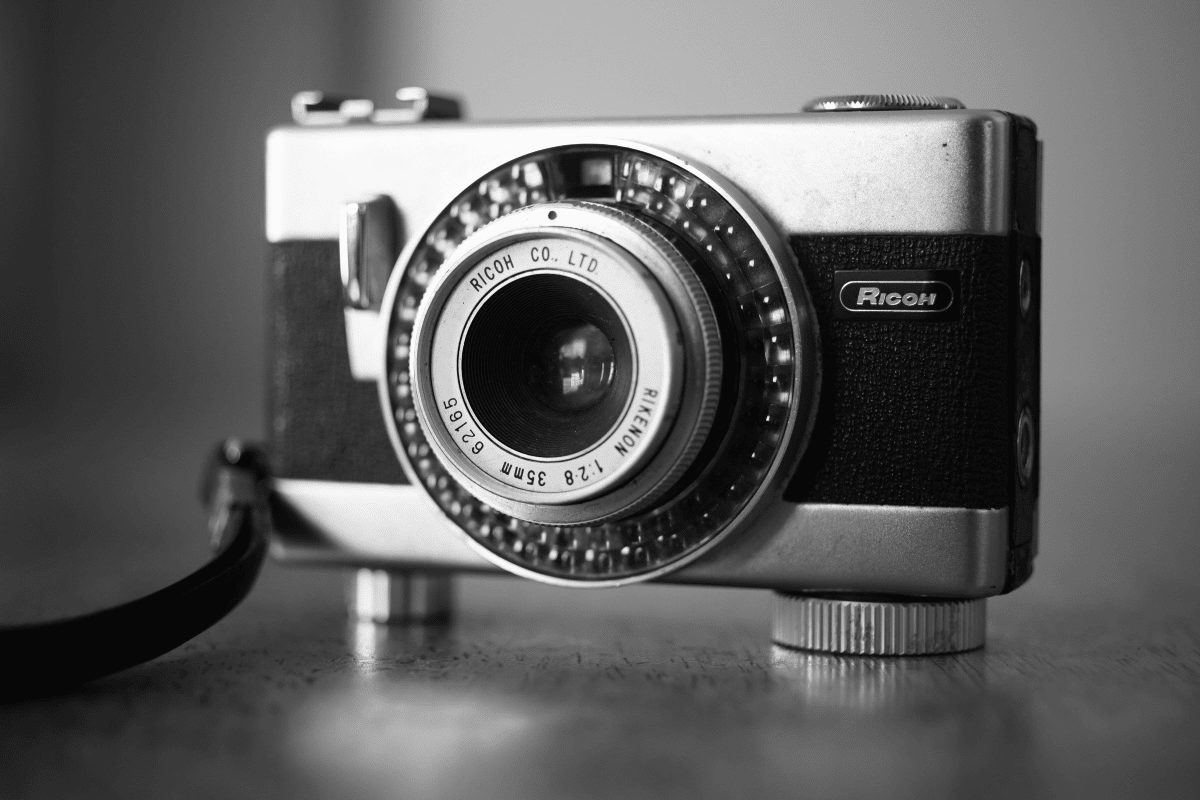 銀塩浪漫01 RICOH AUTO SHOT ️奈良の桜🌸｜川村胡桃🫧