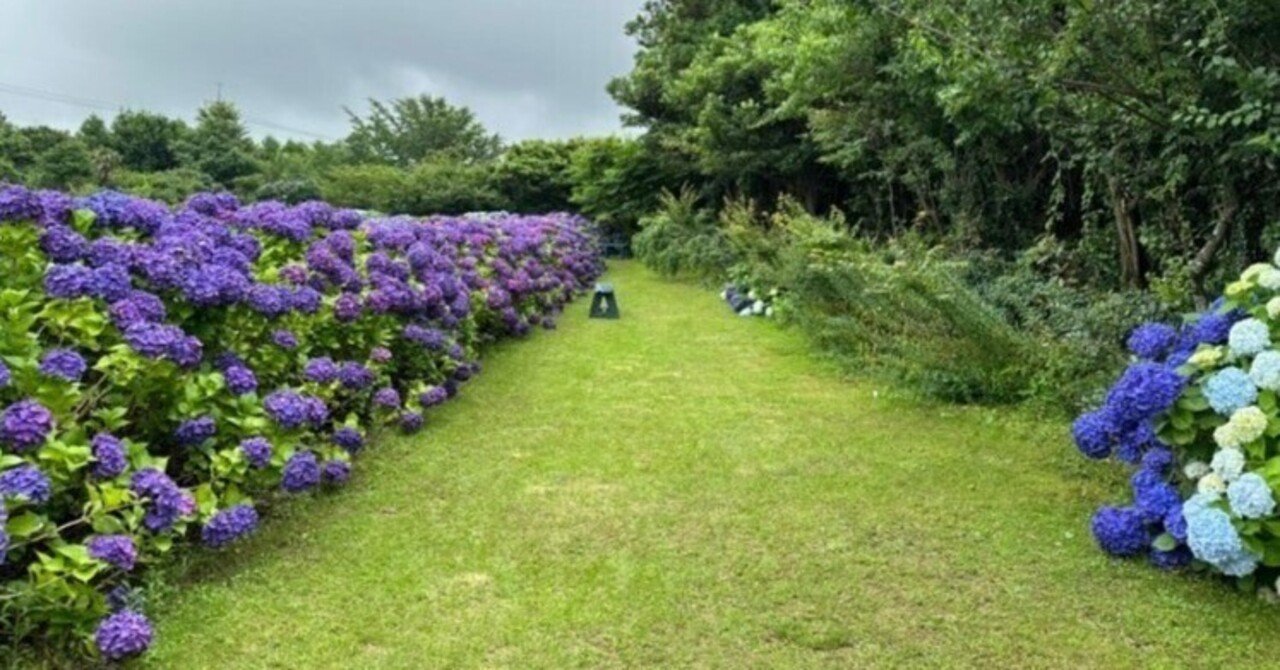 私の庭に咲く幸せ｜Andrea_Tsuyoshi