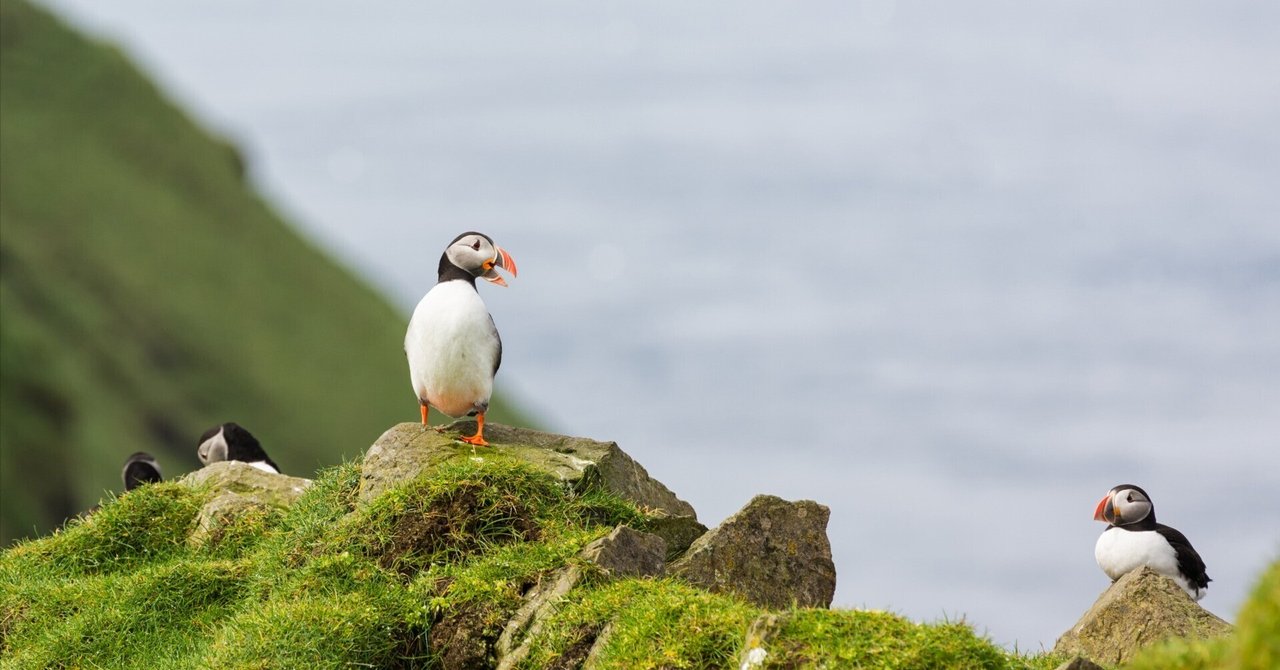 私の稼働EAの紹介｜ayano＠EAトレーダー