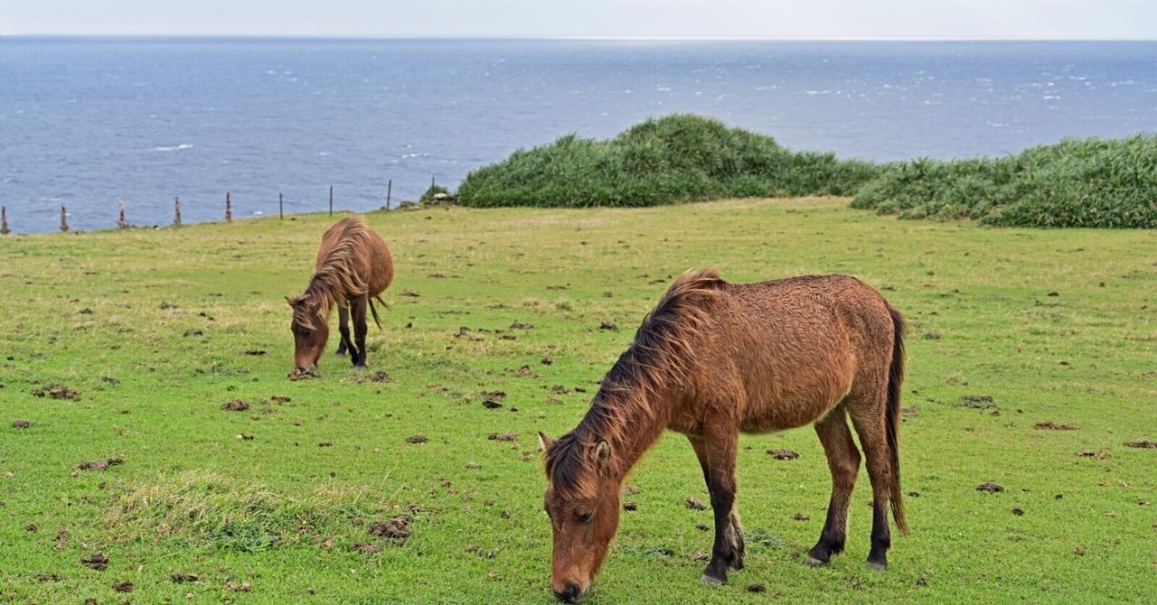 Hitoshi Kobayashi｜note