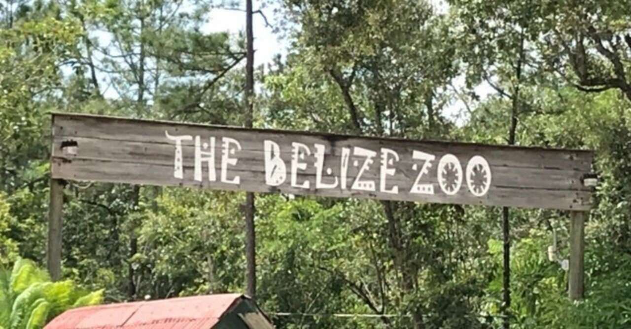 ベリーズ観光観光地紹介① ベリーズ動物園｜Tachu.