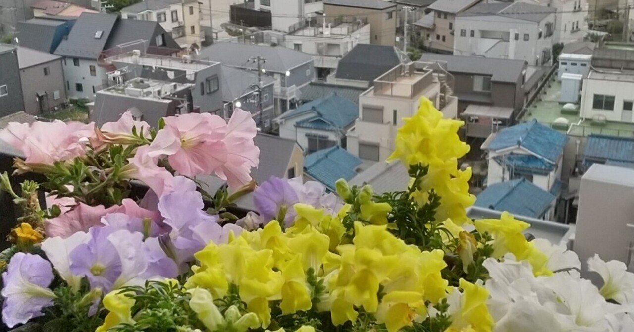 下町を愛するシニア|note