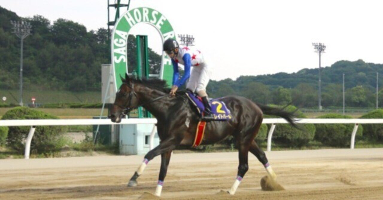 佐賀競馬【🔥👊🏇激熱穴馬勝負🏇👊🔥】421（日）【8r】木葉採月（このはとりづき）賞 C1 （発走時刻1910）｜さやだま